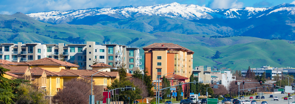 Orion Pest Control - Professional Pest Solutions